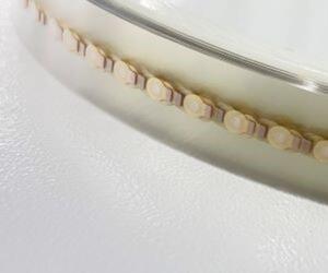 GORE® MEMS Protective Vents | Gore